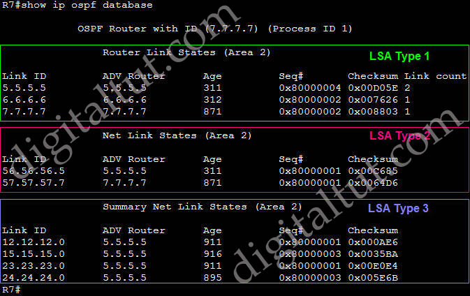 ENCOR Training » OSPF LSA Types Lab